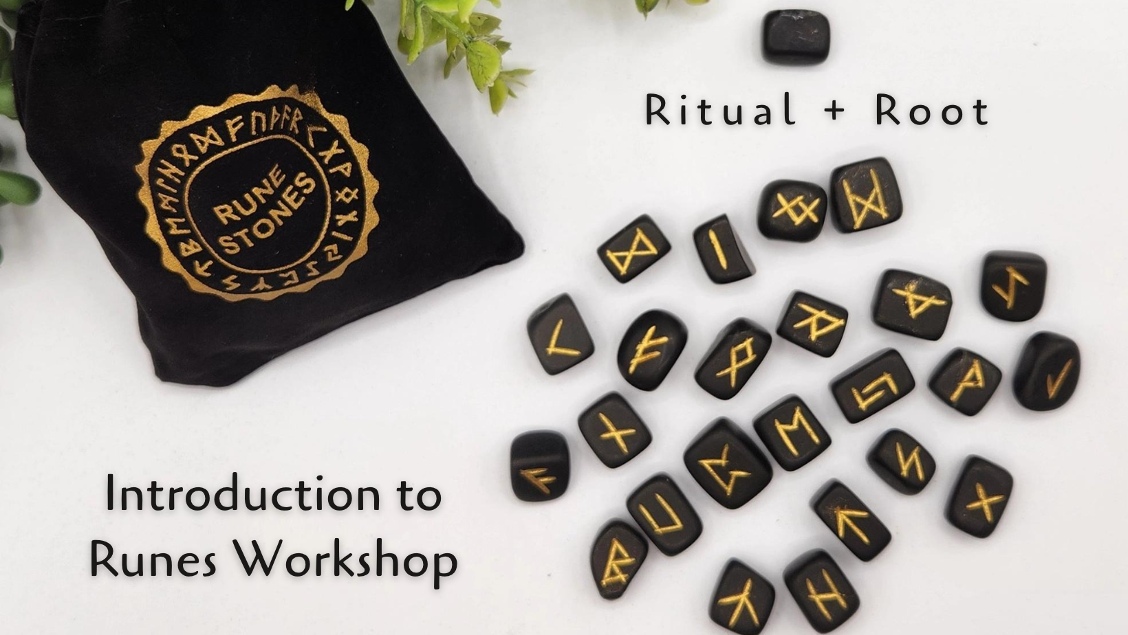 Events Schedule – ritual + root