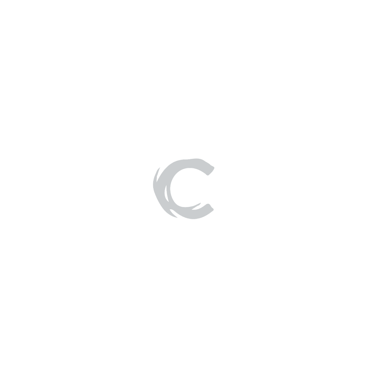 Blucora Logo