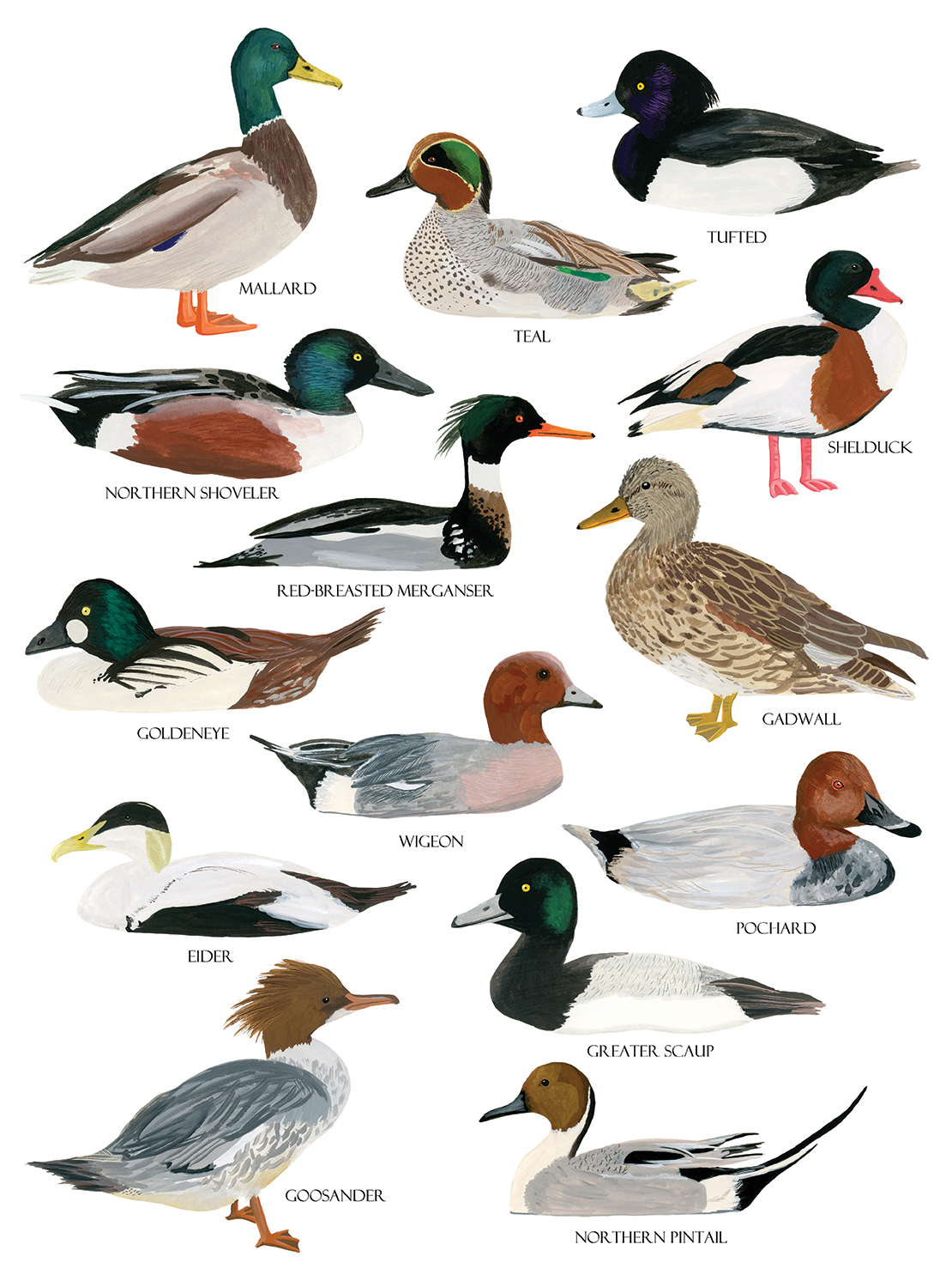 Portfolio – Sarah Frances