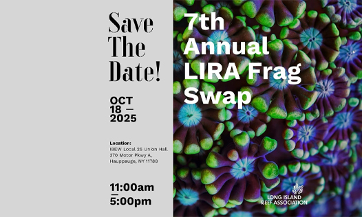 Events – Jason Fox Signature Corals