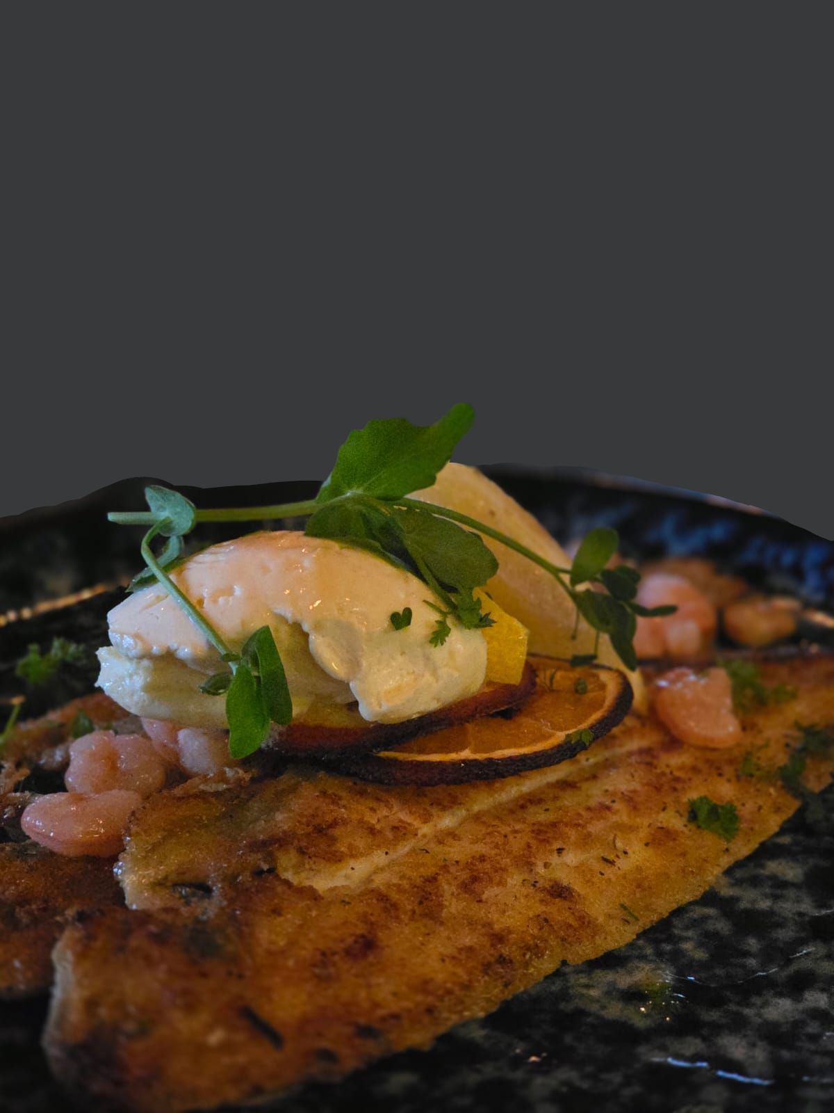 Hoofdrechten Dok restaurant Zwijndrecht – dokrestaurant.nl