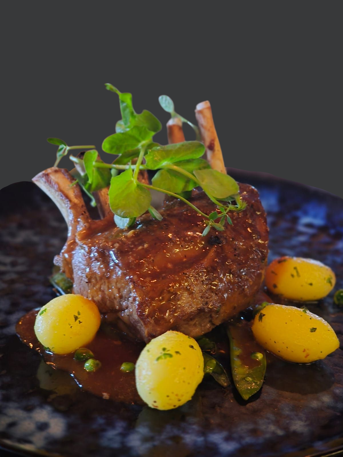 Hoofdrechten Dok restaurant Zwijndrecht – dokrestaurant.nl