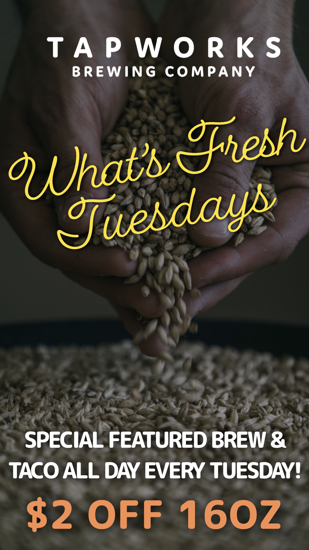 Events – Gibsons Tapworks