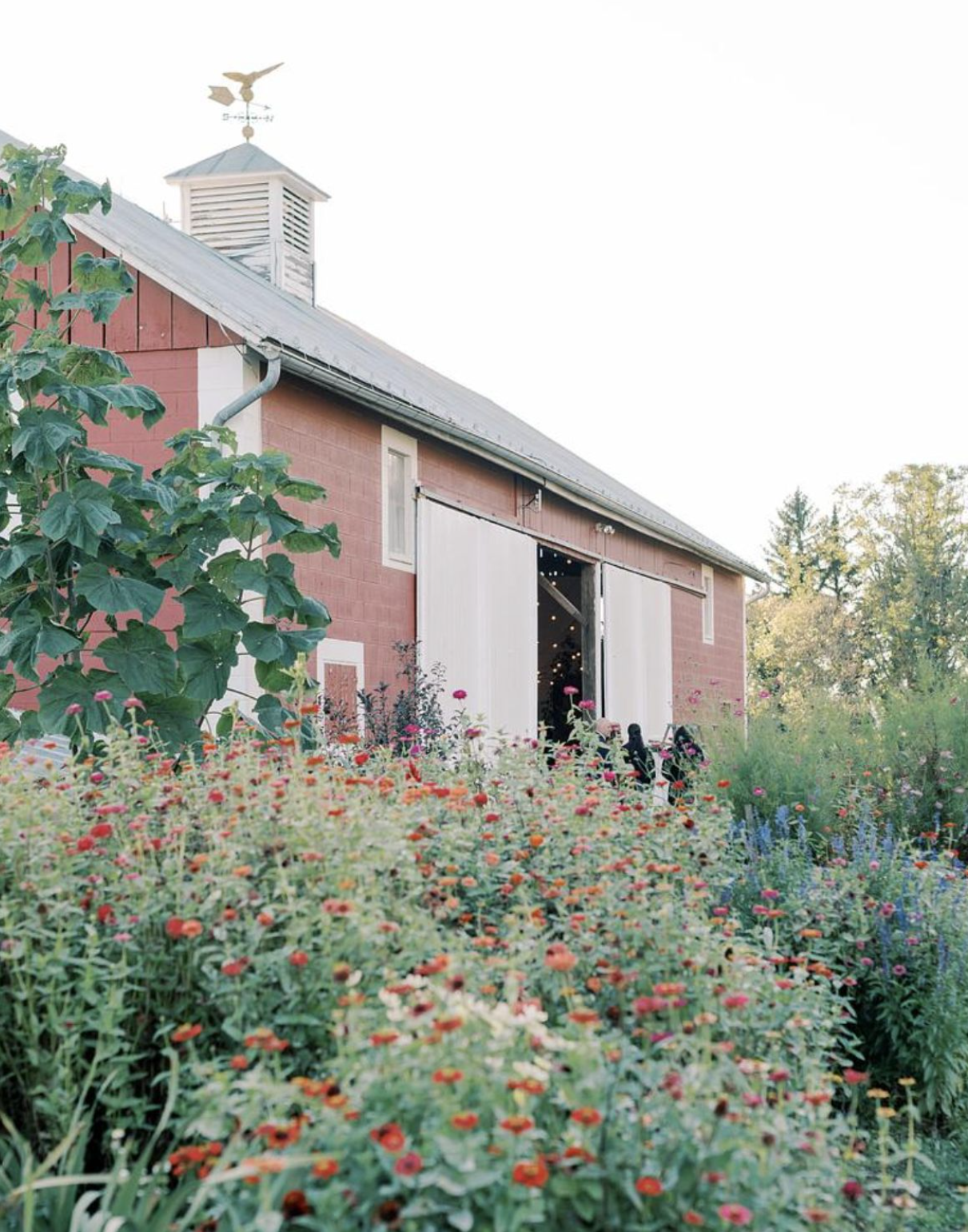 Upcoming Events At Hope Flower Farm & Winery | Hope Flower Farm