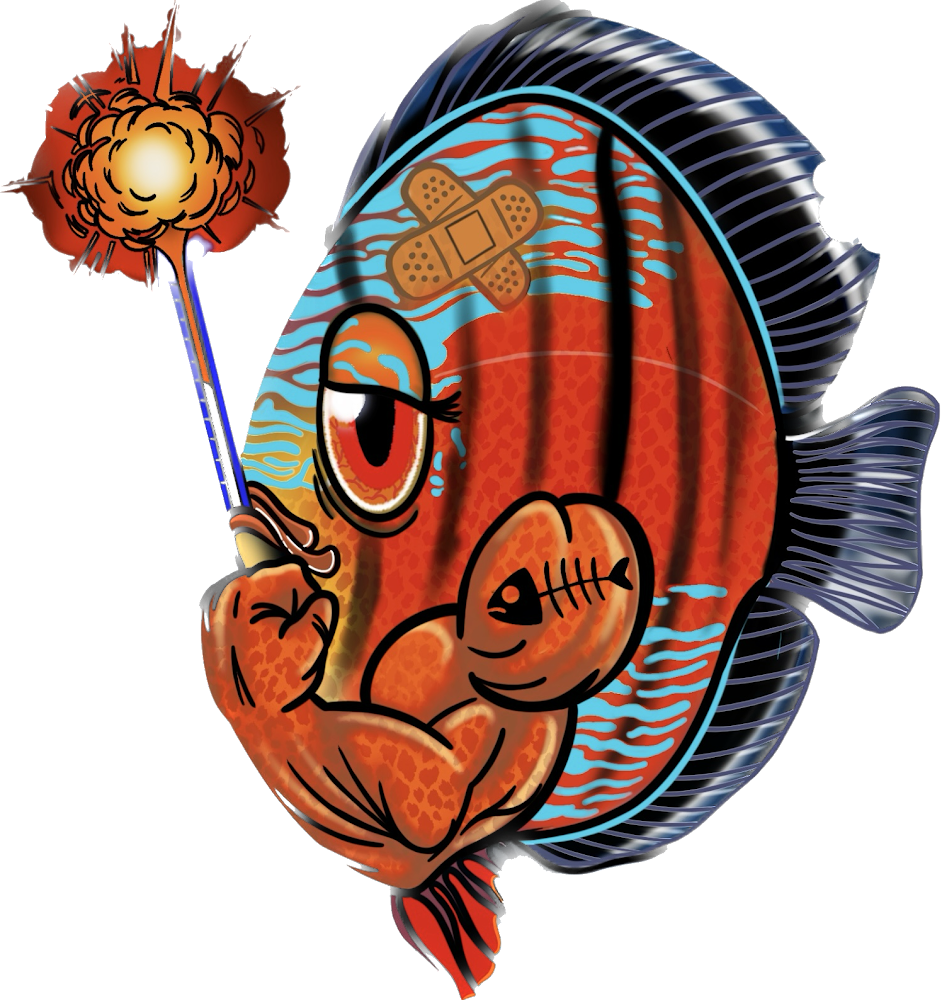 Santarém Discus Plus