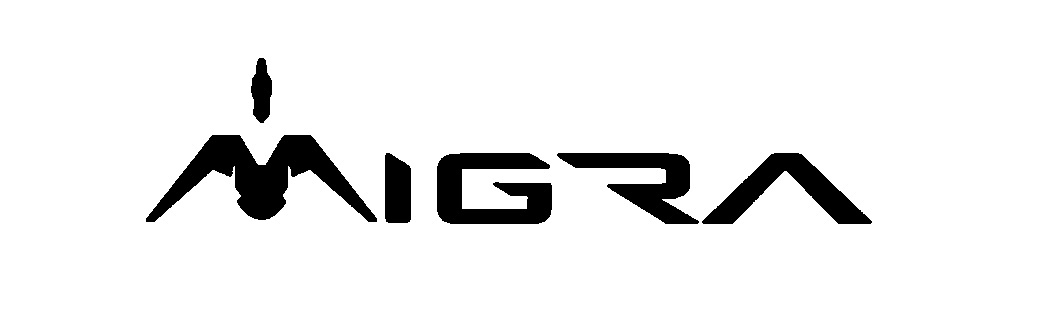 SALE - The Blind, LLC