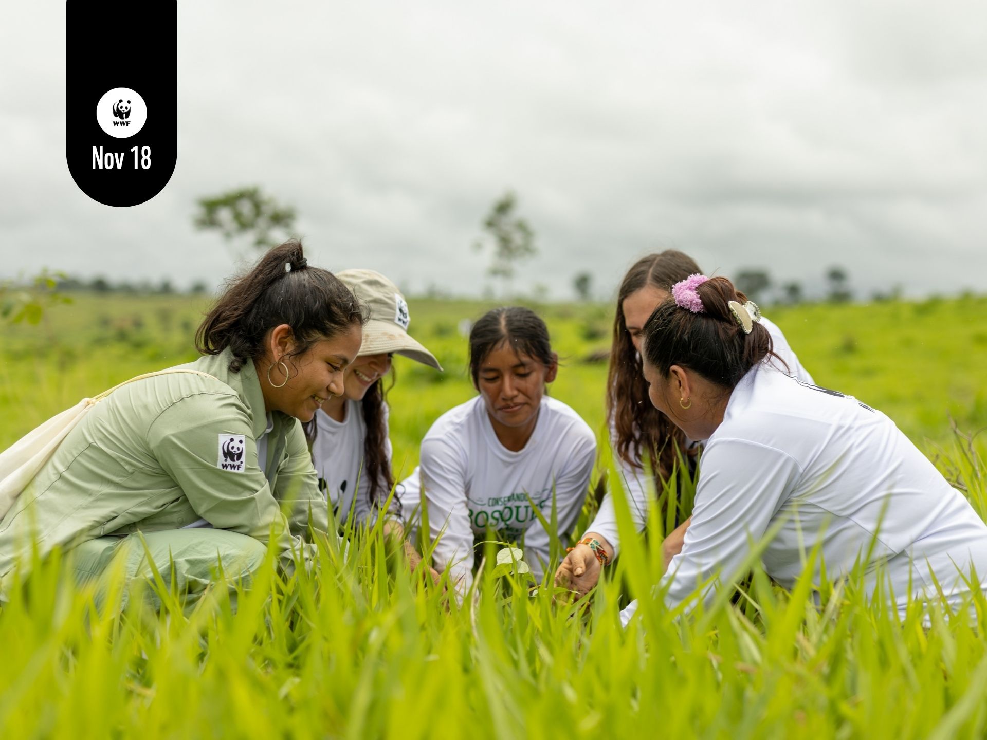 WWF Pavilion Program - COP30