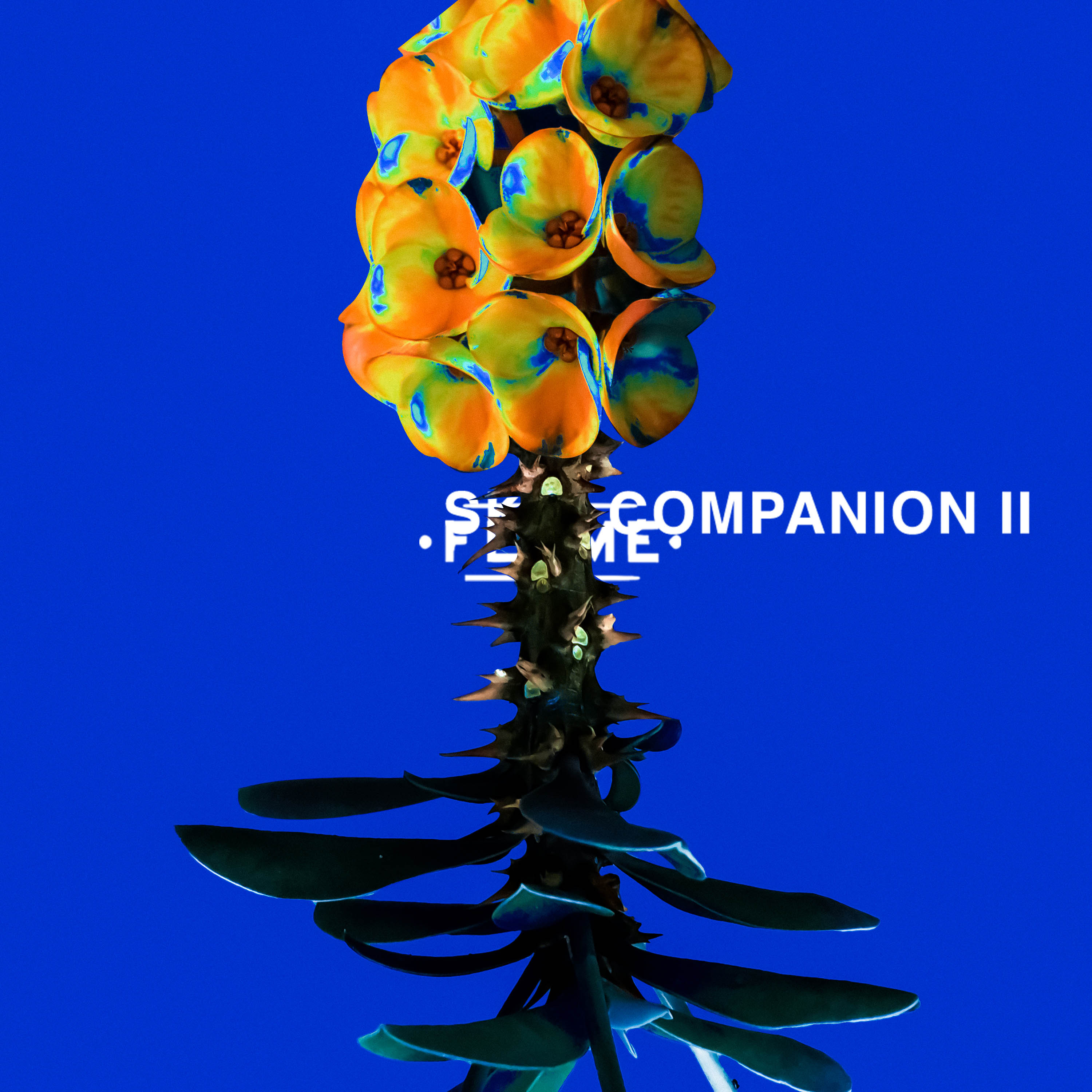 PORTFOLIO – BILLO Art Co.