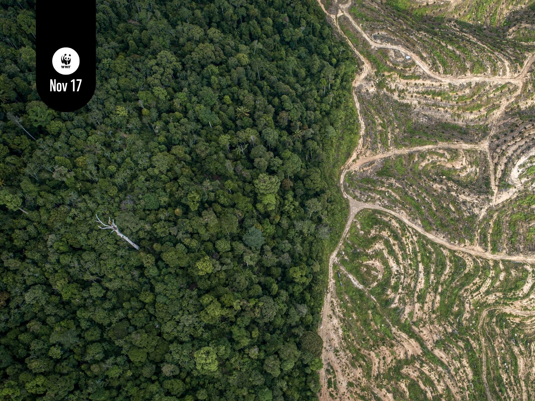 WWF Pavilion Program - COP30