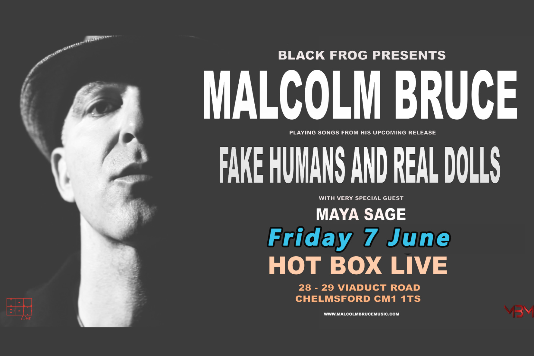 WHAT'S ON — CHELMSFORD FOR YOU