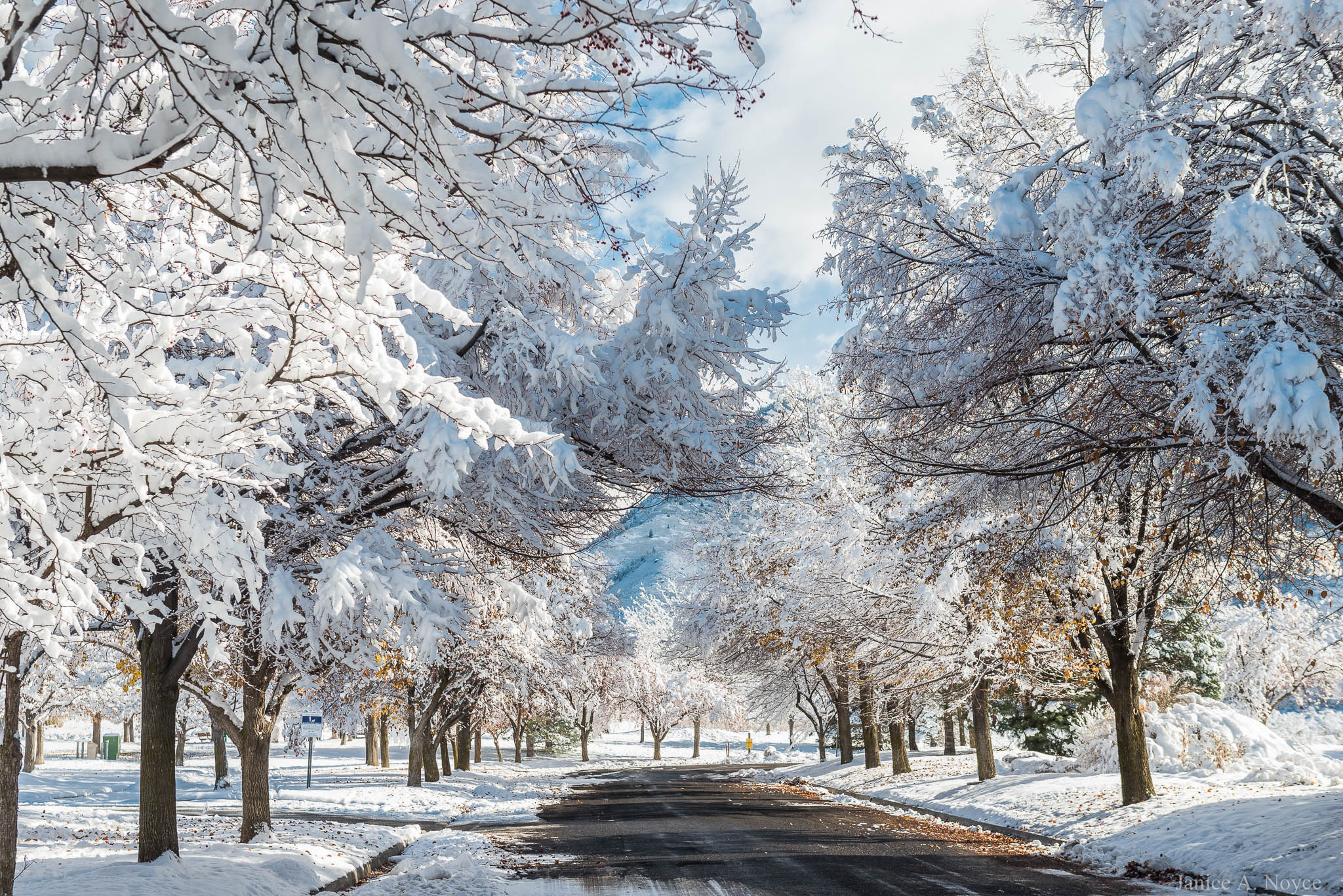 2024 Community Photo Contest | Sandy City, UT - Official Website