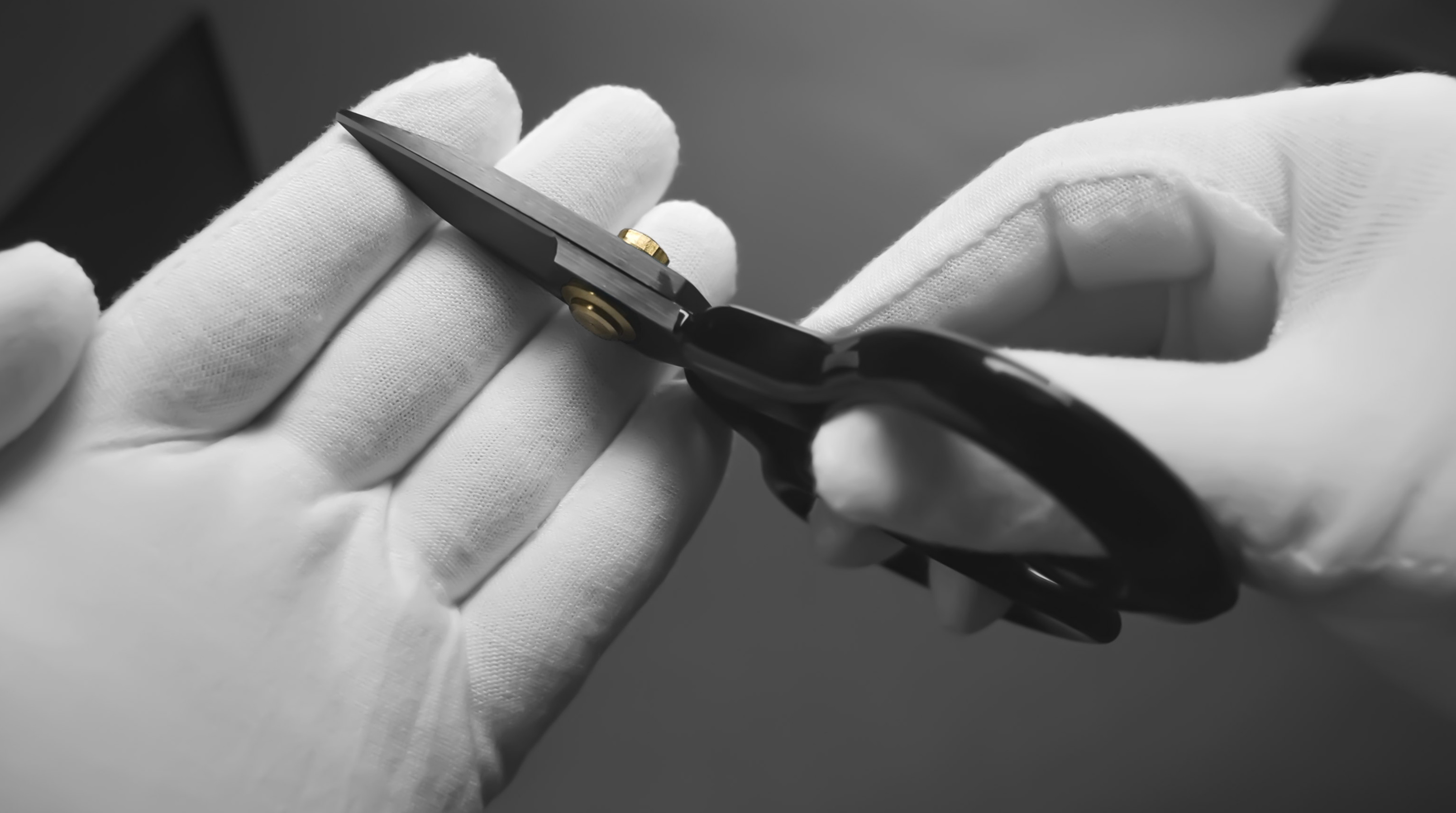 Guggenhein® Little Giant™, Professional Precision Scissors
