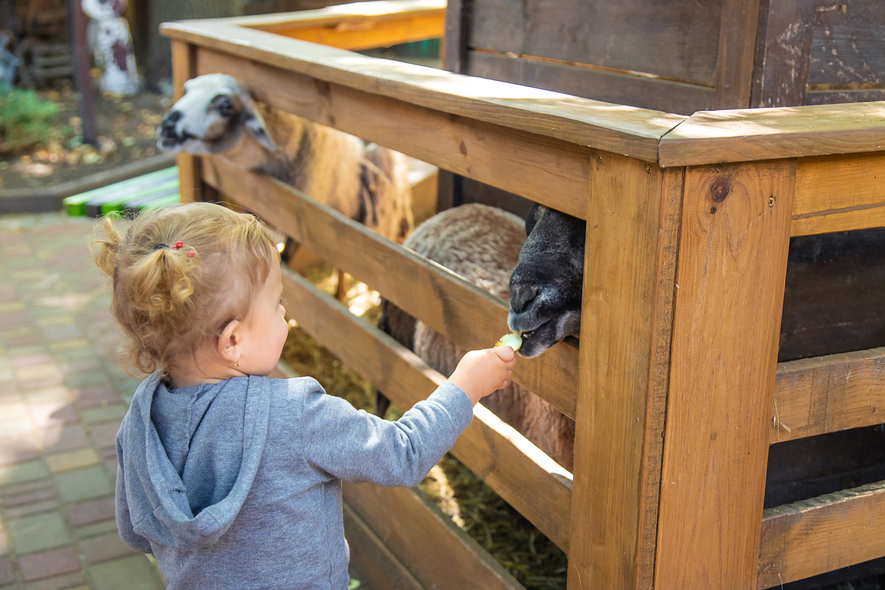 Roaming Trails RV Retreat | Experiences