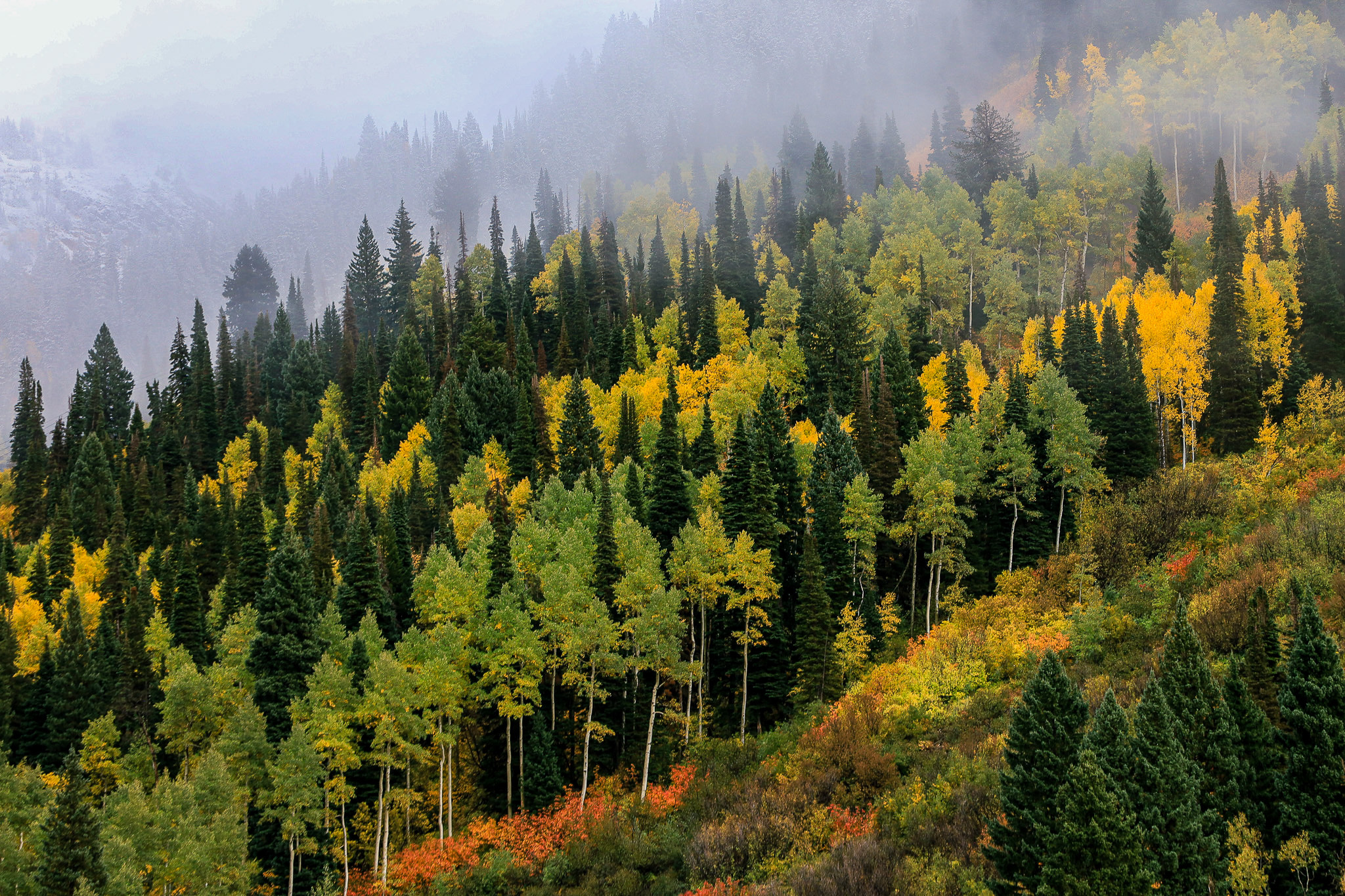 2024 Community Photo Contest | Sandy City, UT - Official Website