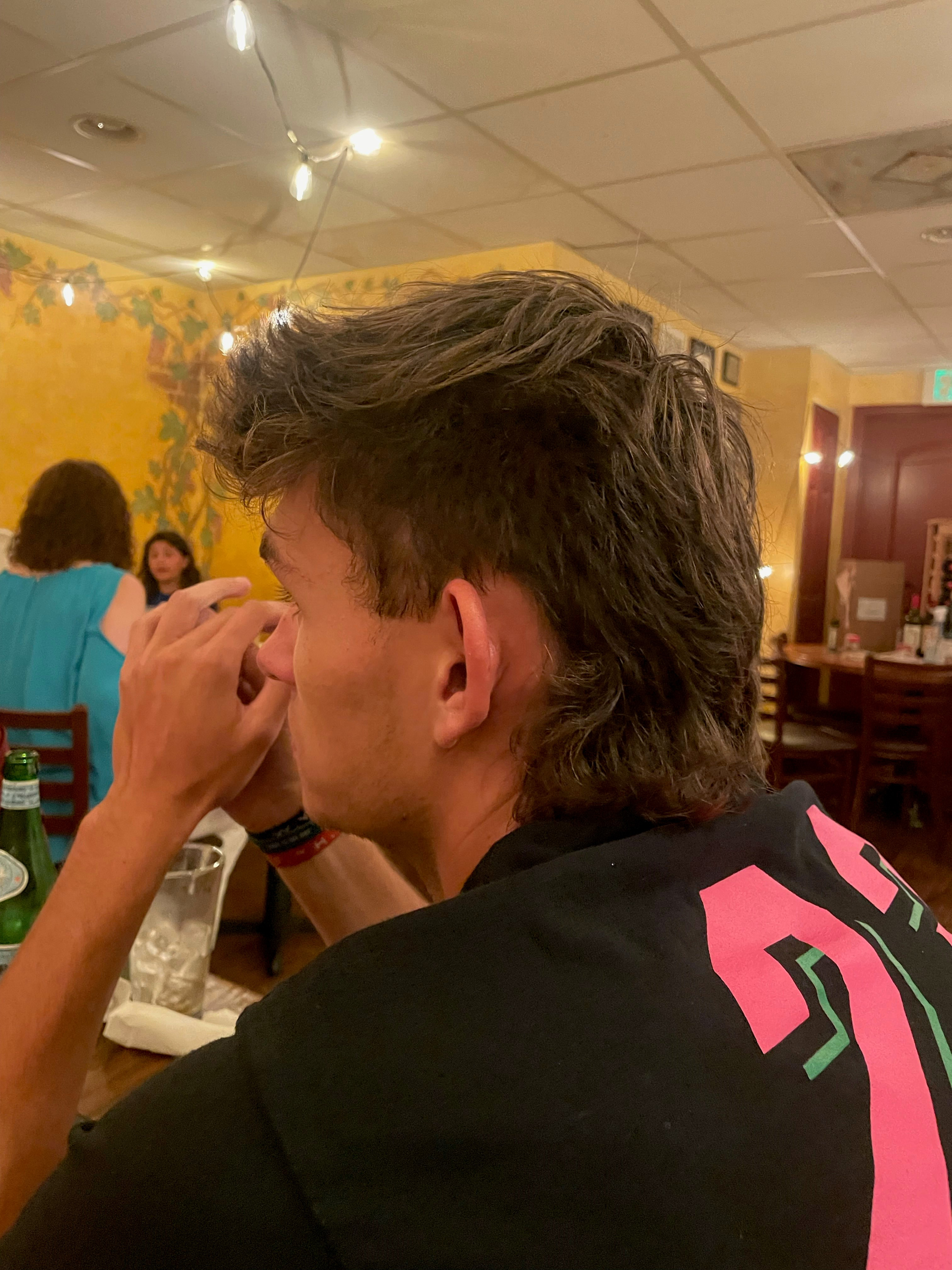 Lacrosse Mullet