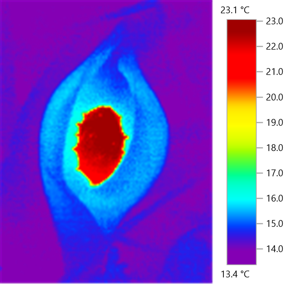 SCHEDULE – NEONHALL